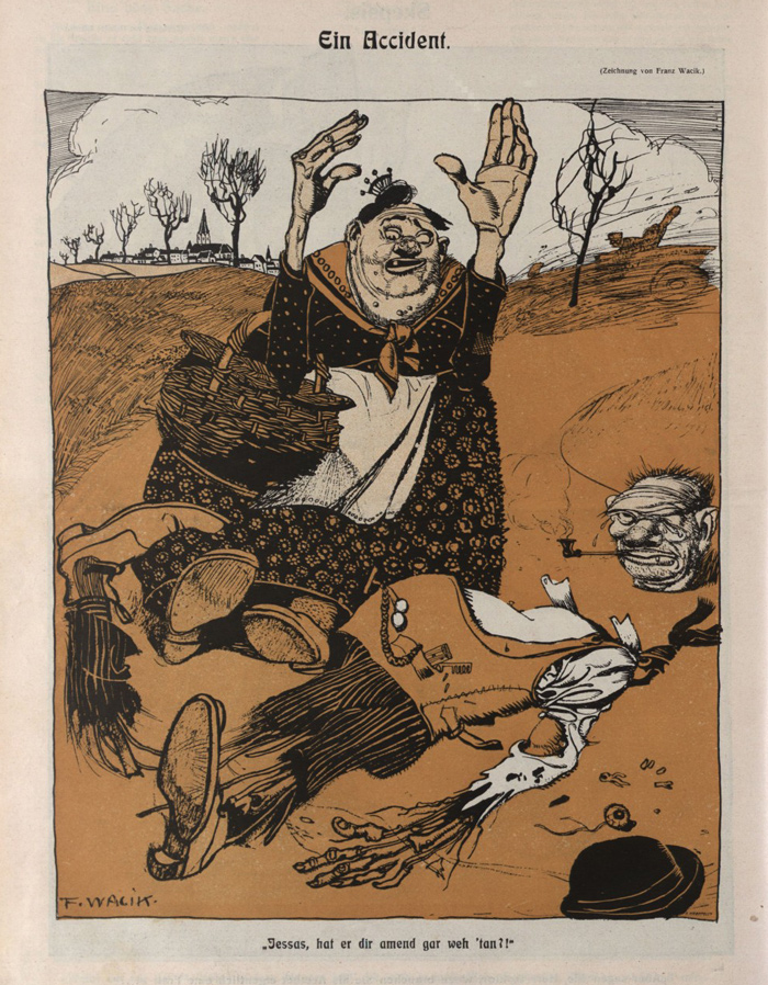 Illustrations by Franz Wacik